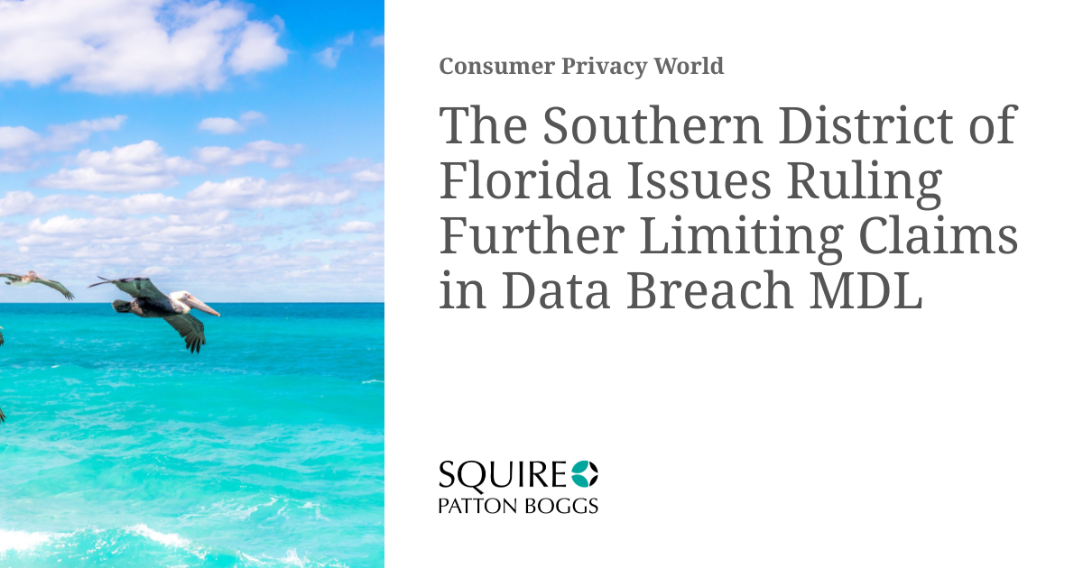 The Southern District of Florida Issues Ruling Further Limiting Claims ...