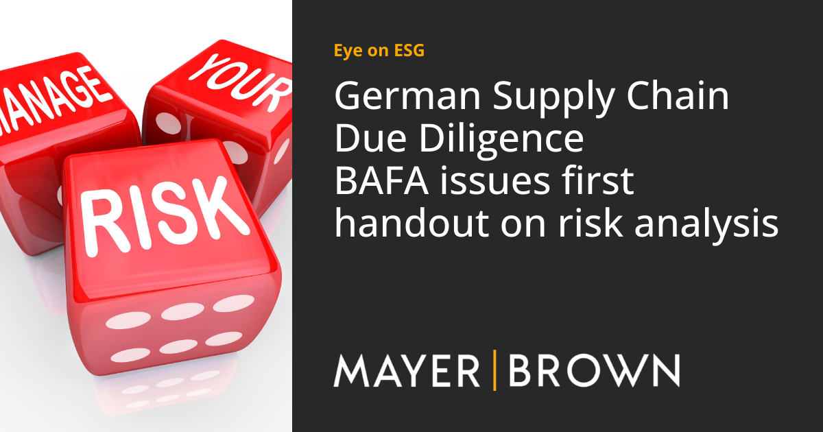 German Supply Chain Due DiligenceBAFA issues first handout on risk ...