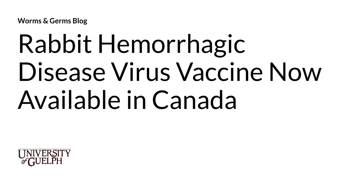Rabbit Hemorrhagic Disease Virus Vaccine Now Available in Canada ...