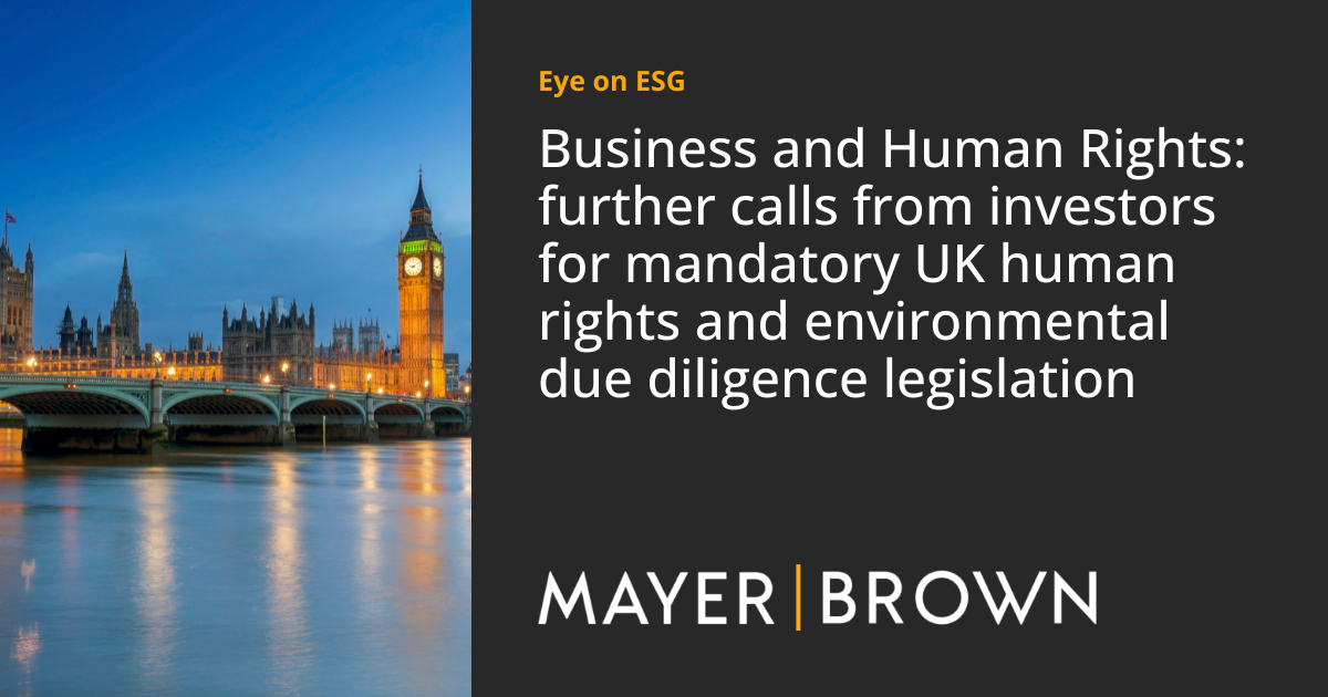 Business and Human Rights: further calls from investors for mandatory ...