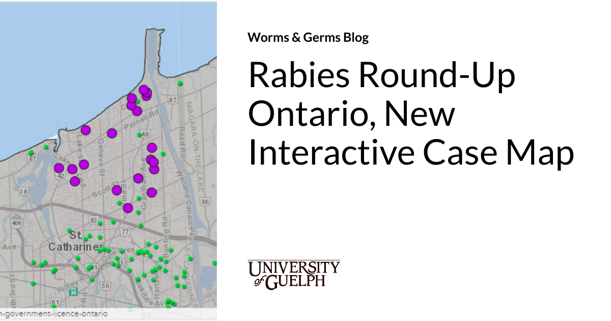 Rabies Round-Up Ontario, New Interactive Case Map | Worms & Germs Blog