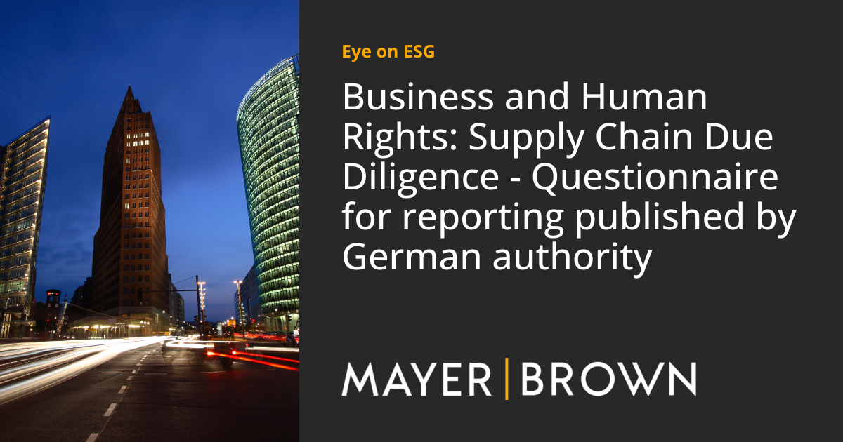 Business and Human Rights: Supply Chain Due Diligence - Questionnaire ...