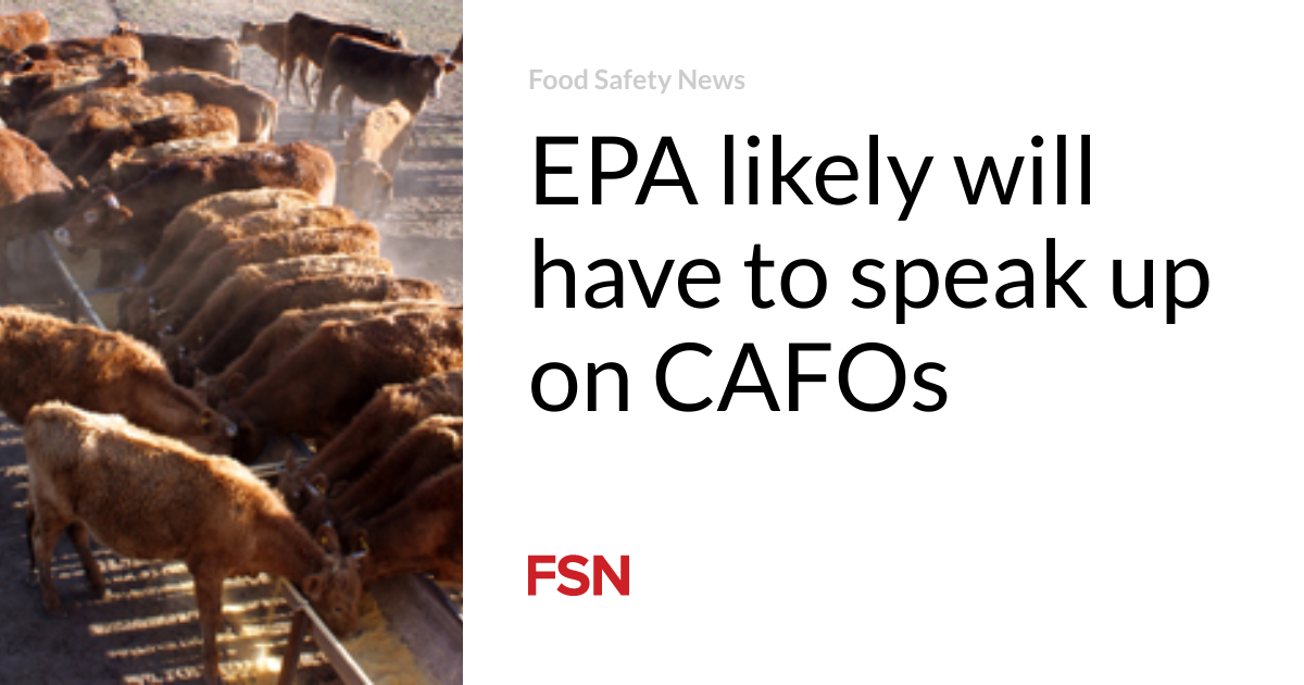 EPA likely will have to speak up on CAFOs | Food Safety News