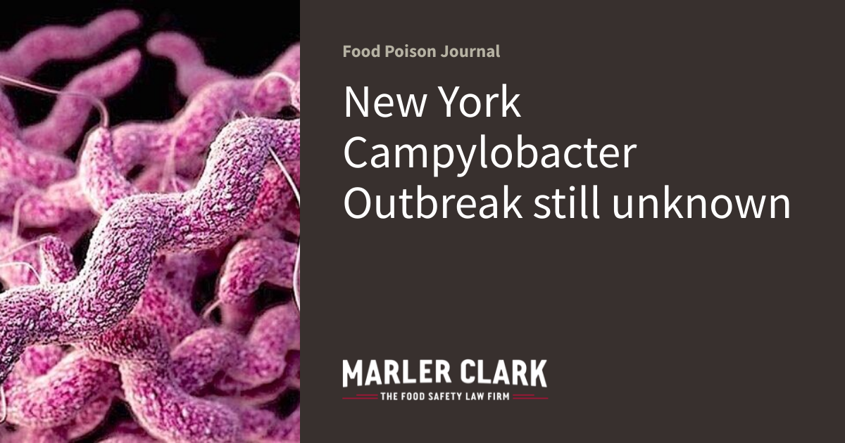 New York Campylobacter Outbreak still unknown | Food Poison Journal