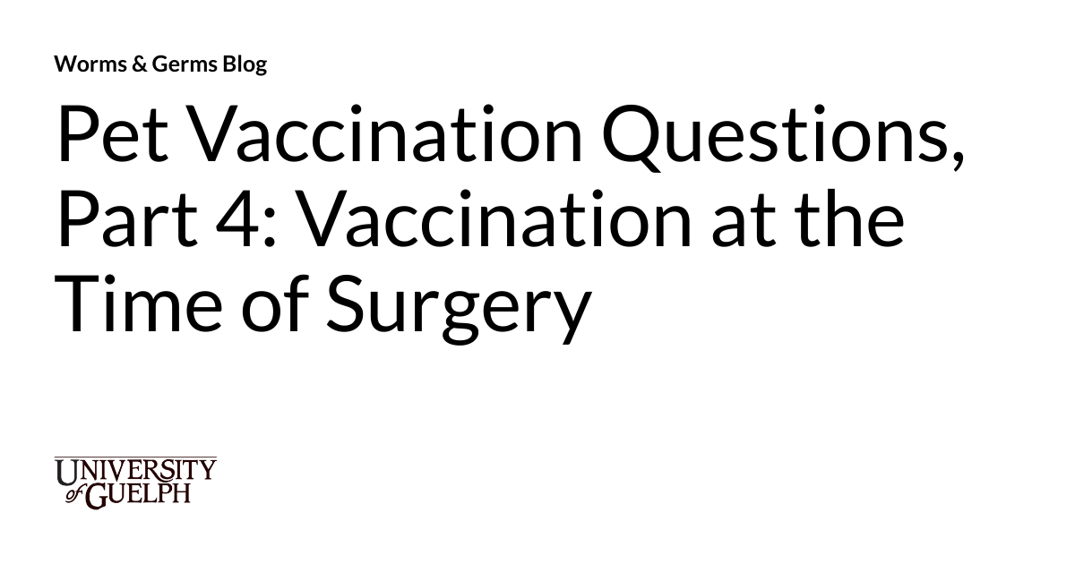 Pet Vaccination Questions, Part 4: Vaccination at the Time of Surgery ...