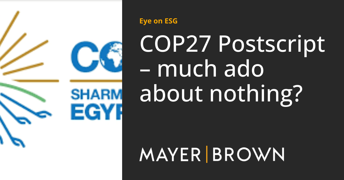 COP27 Postscript – much ado about nothing? | Eye on ESG