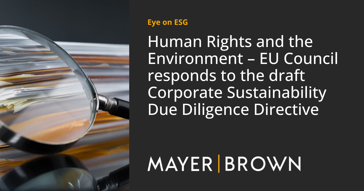 Human Rights and the Environment – EU Council responds to the draft ...