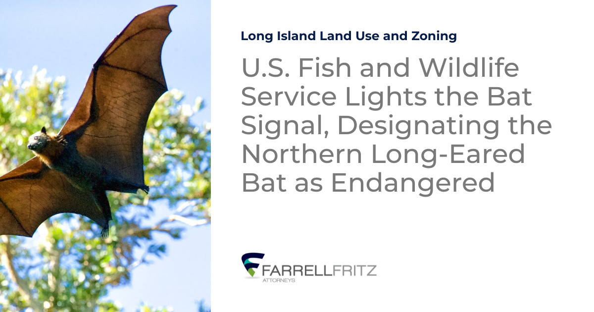 U.S. Fish and Wildlife Service Lights the Bat Signal, Designating the ...