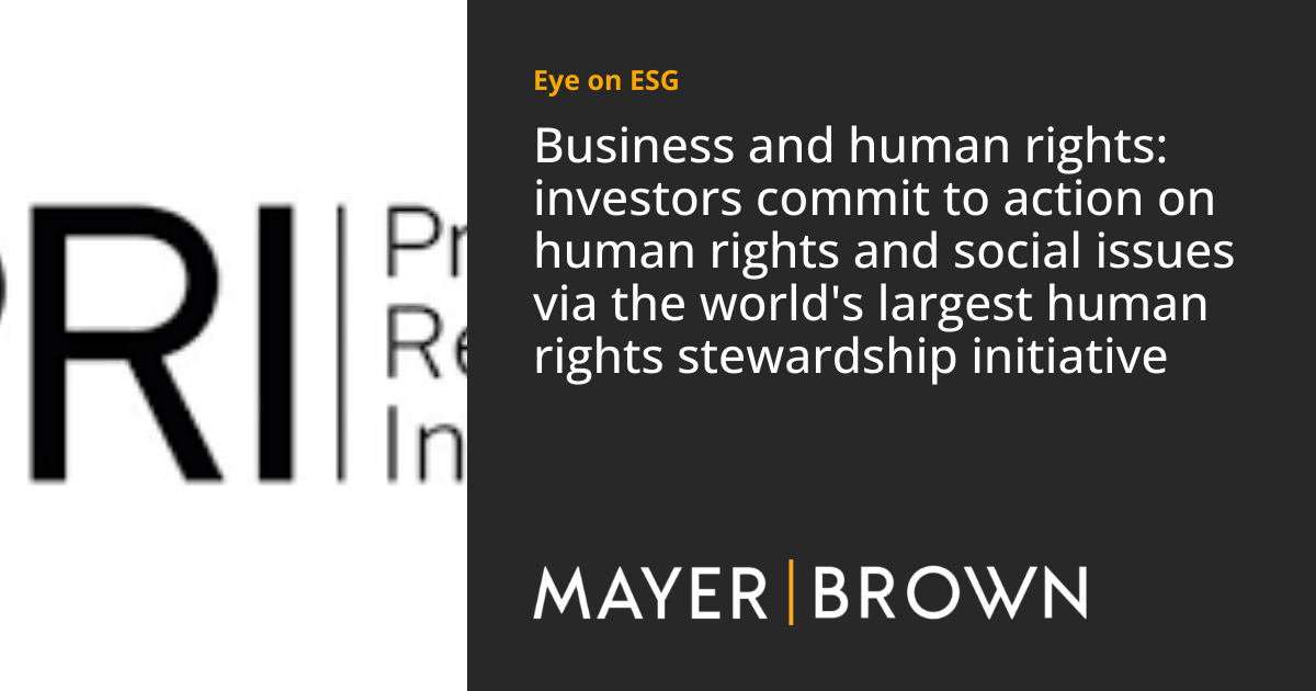Business and human rights: investors commit to action on human rights ...