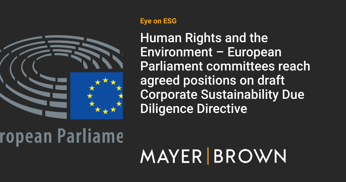 Human Rights and the Environment – European Parliament committees reach ...