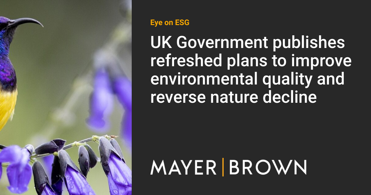 UK Government publishes refreshed plans to improve environmental ...