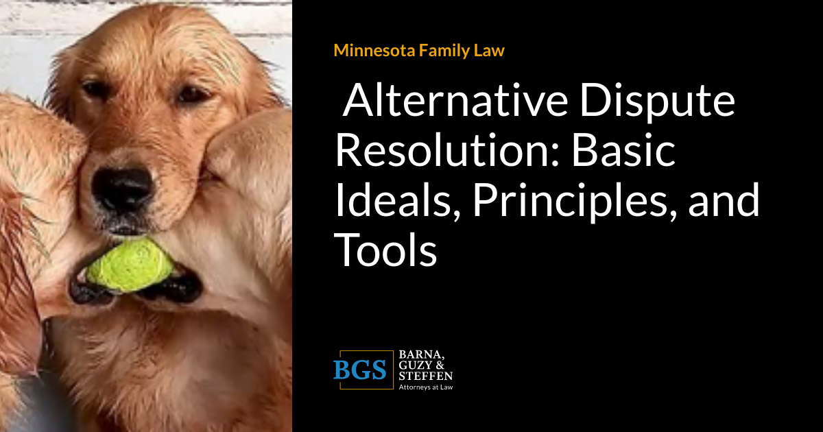 Alternative Dispute Resolution: Basic Ideals, Principles, and Tools ...