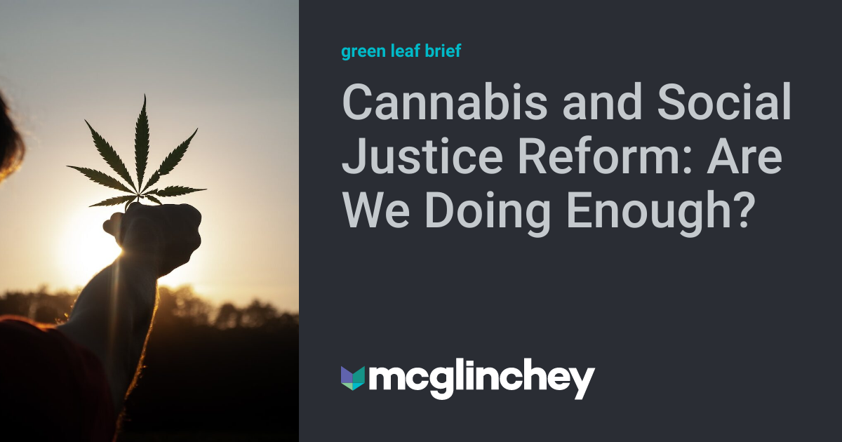 Cannabis and Social Justice Reform: Are We Doing Enough? | green leaf brief
