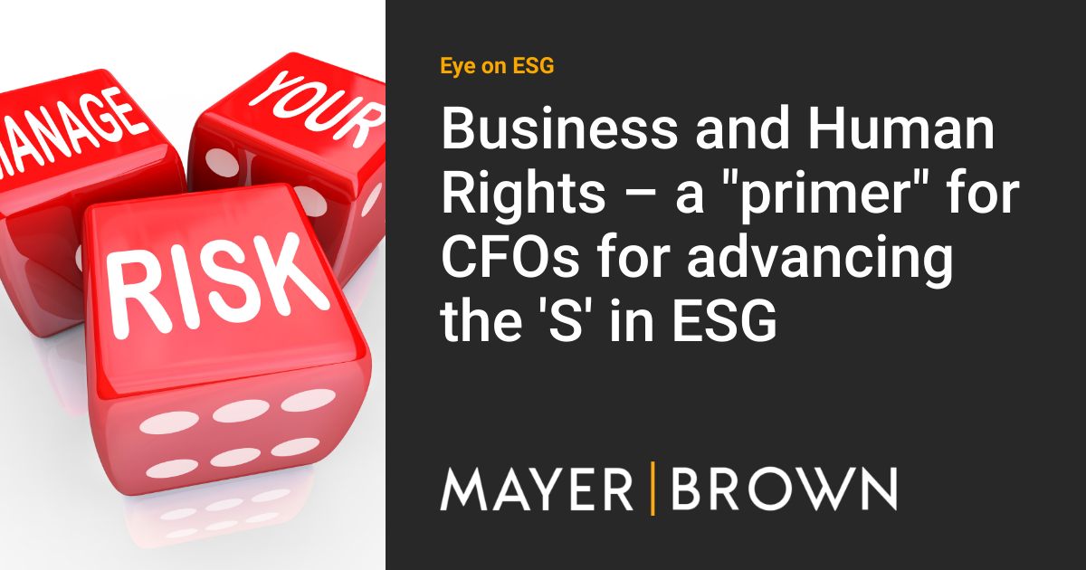 Business and Human Rights – a "primer" for CFOs for advancing the 'S ...
