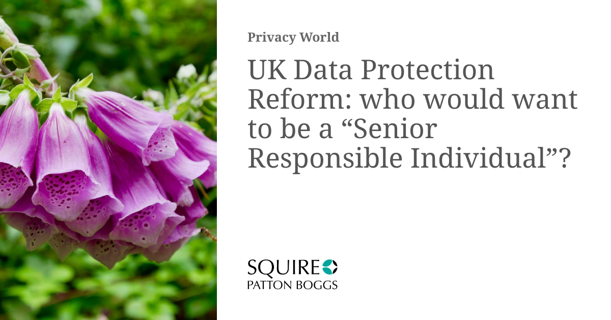 UK Data Protection Reform: who would want to be a “Senior Responsible ...