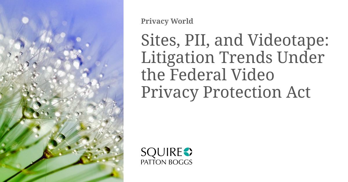 Sites, PII, and Videotape: Litigation Trends Under the Federal Video ...