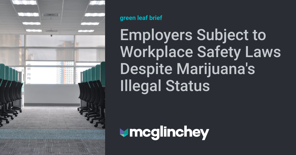 Employers Subject to Workplace Safety Laws Despite Marijuana's Illegal ...