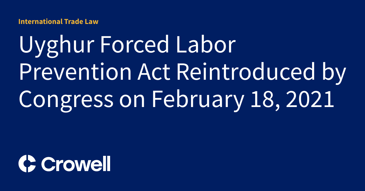 Uyghur Forced Labor Prevention Act Reintroduced by Congress on February ...