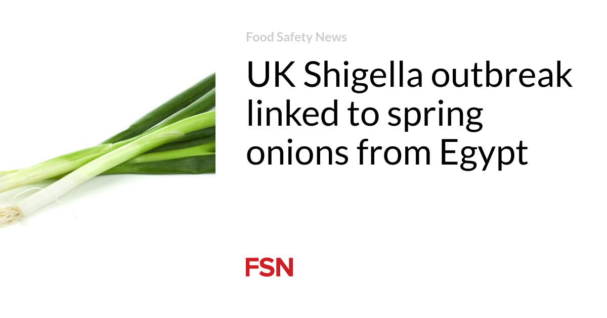UK Shigella outbreak linked to spring onions from Egypt | Food Safety News