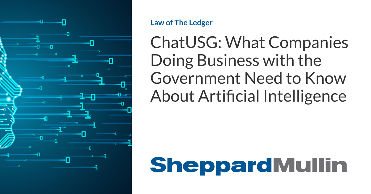 ChatUSG: What Companies Doing Business with the Government Need to Know ...