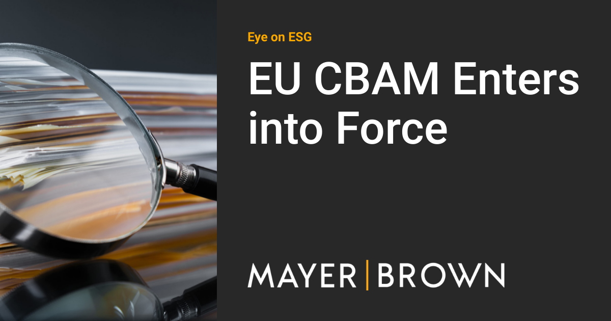 EU CBAM Enters into Force | Eye on ESG