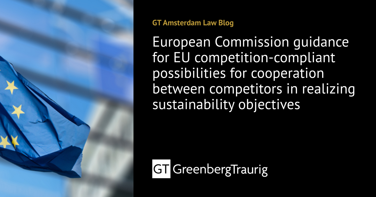 European Commission guidance for EU competition-compliant possibilities ...