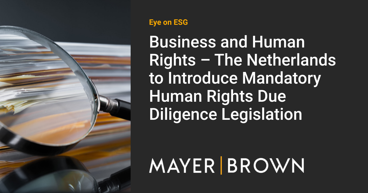 Business And Human Rights The Netherlands To Introduce Mandatory