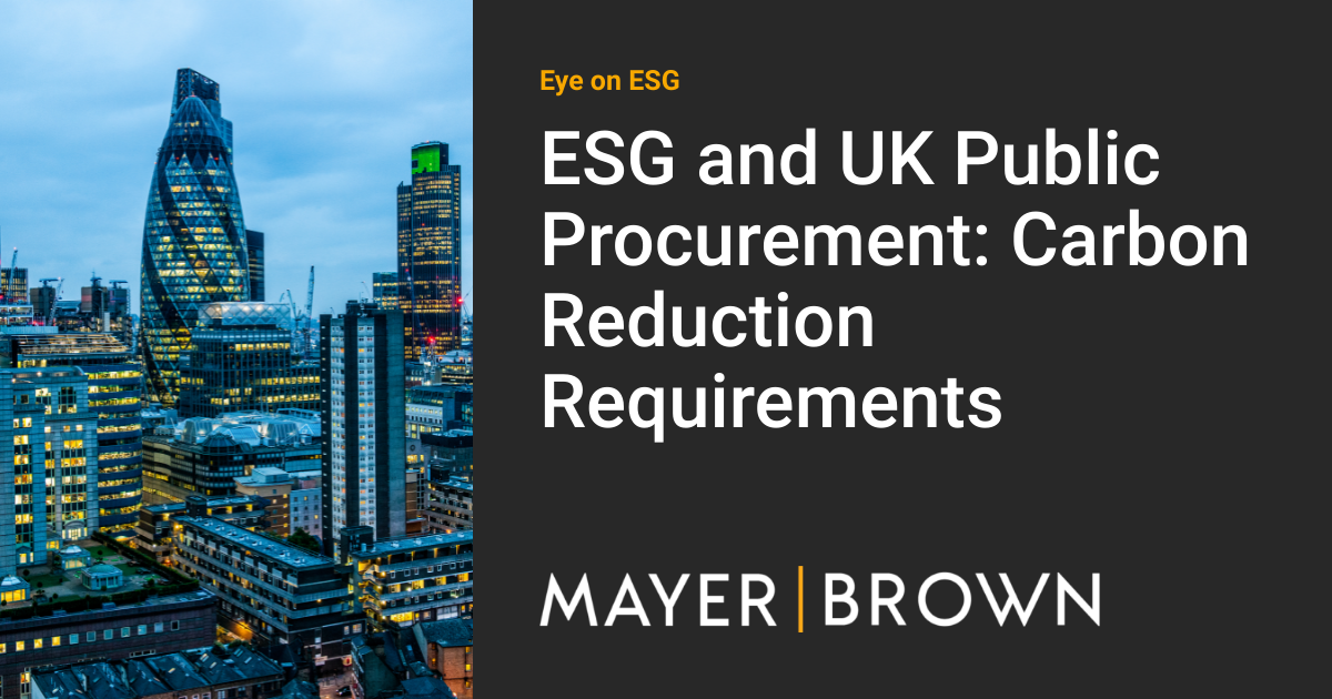 ESG and UK Public Procurement: Carbon Reduction Requirements | Eye on ESG
