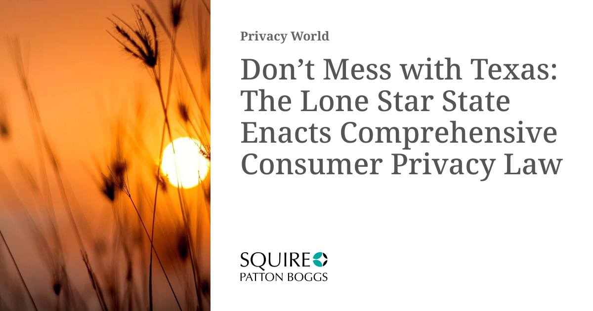 Don’t Mess with Texas: The Lone Star State Enacts Comprehensive ...
