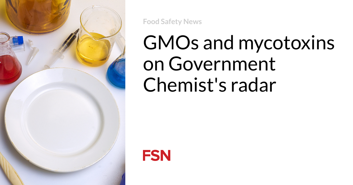 GMOs and mycotoxins on Government Chemist's radar | Food Safety News