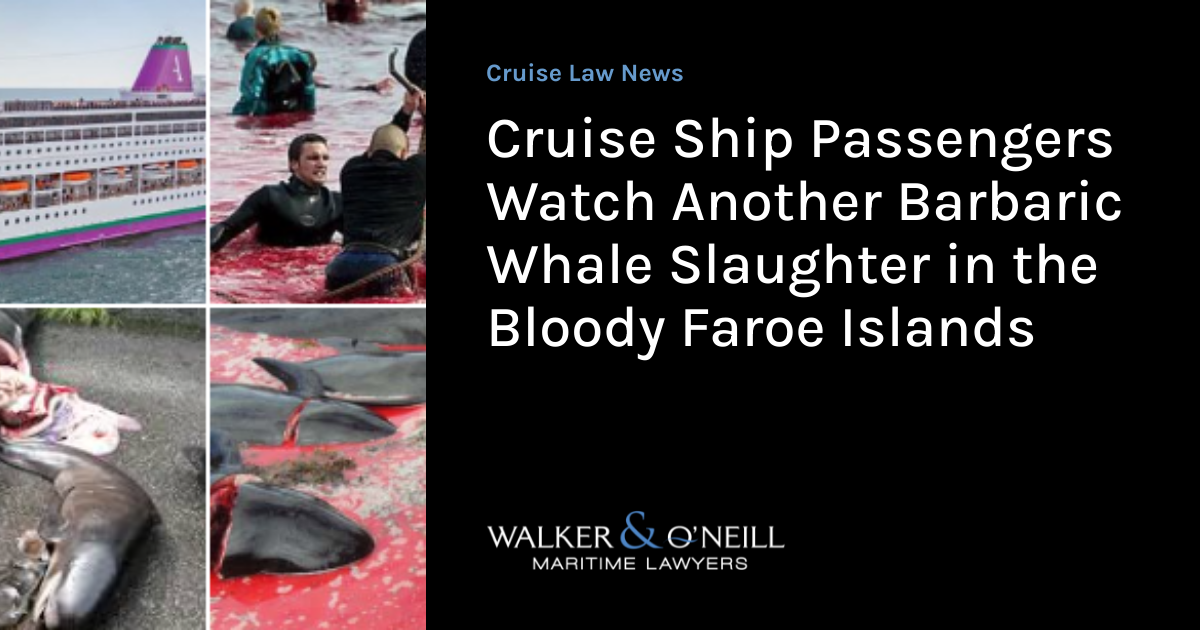 Cruise Ship Passengers Watch Another Barbaric Whale Slaughter in the ...