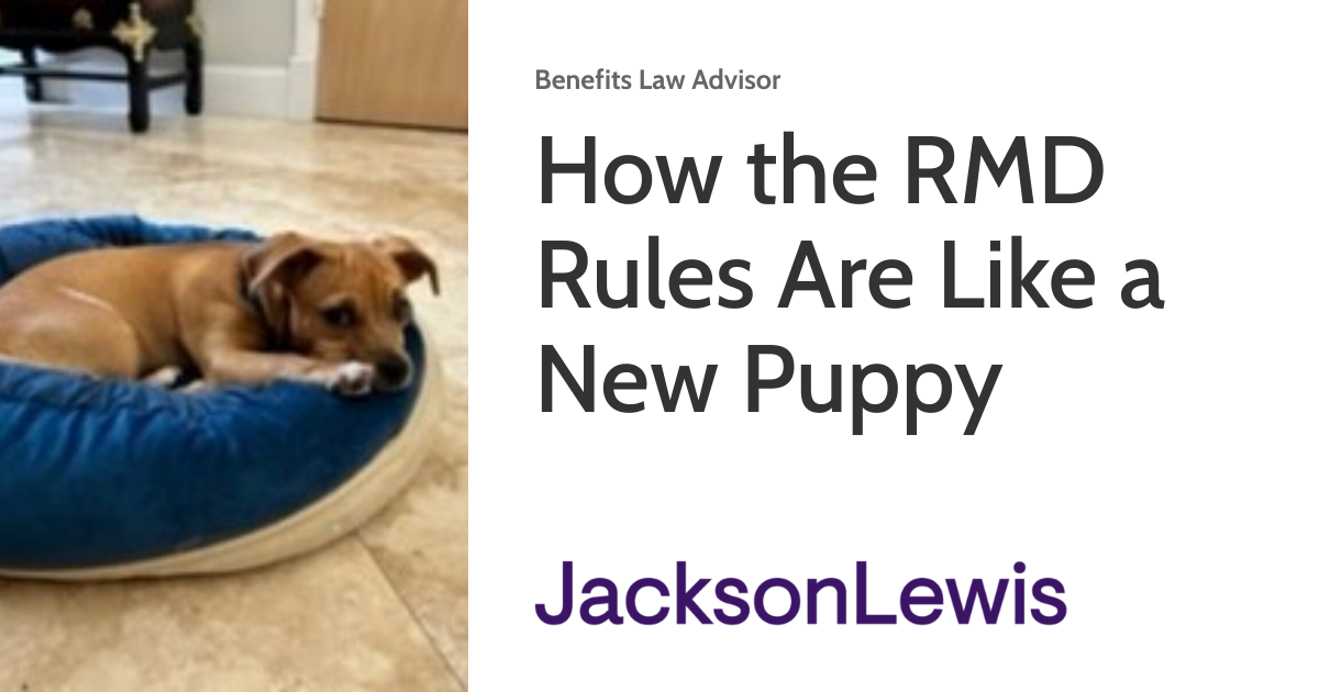 How the RMD Rules Are Like a New Puppy | Benefits Law Advisor