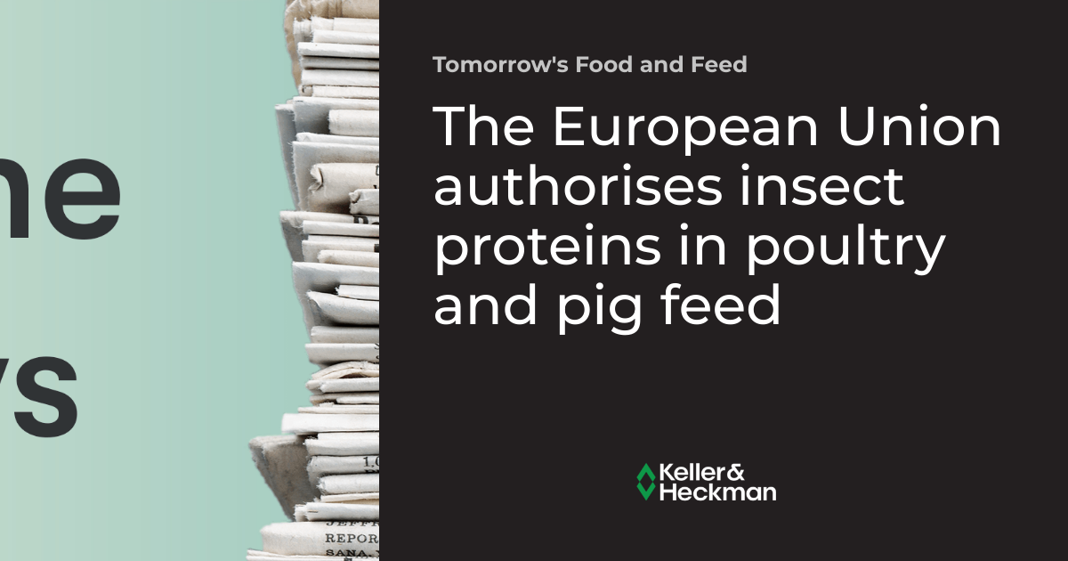 EU Approves Insect Proteins in Animal Feed | Tomorrow's Food and Feed
