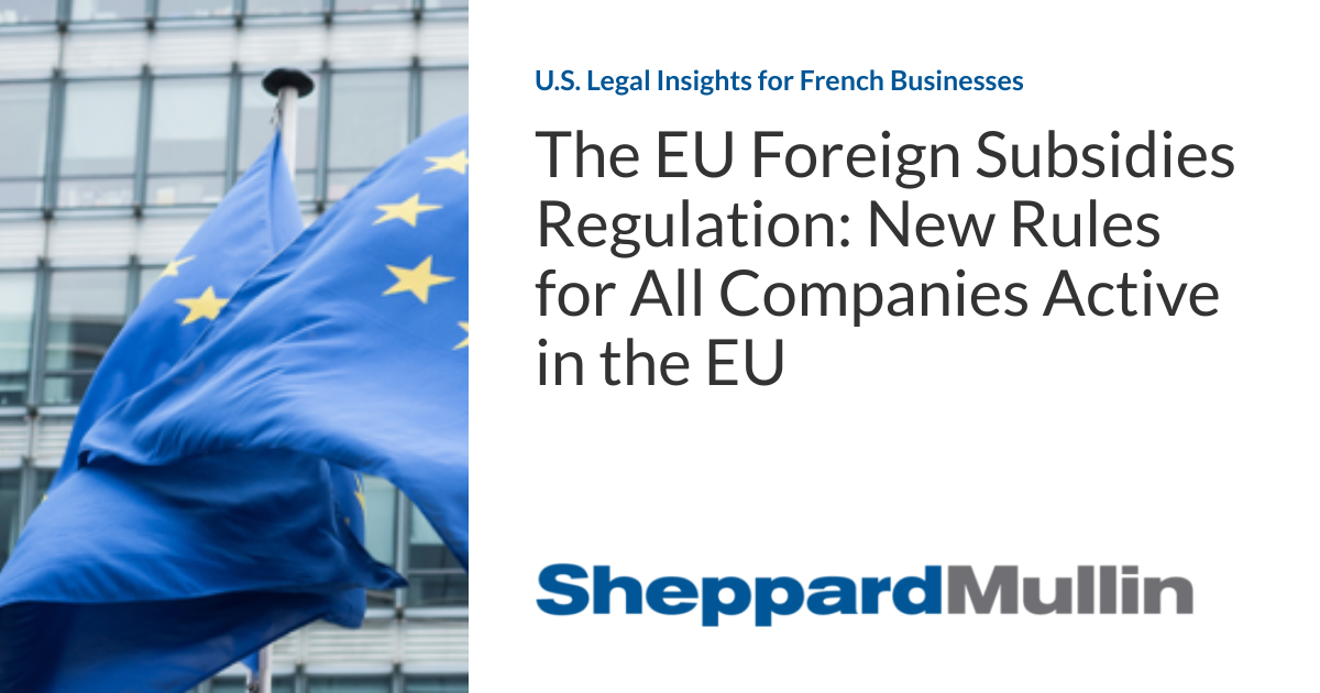 The EU Foreign Subsidies Regulation: New Rules for All Companies Active ...