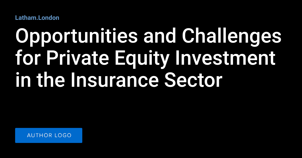 Opportunities and Challenges for Private Equity Investment in the ...