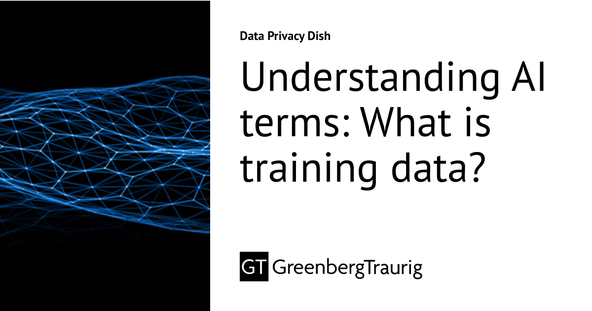 Understanding AI terms: What is training data? | Data Privacy Dish