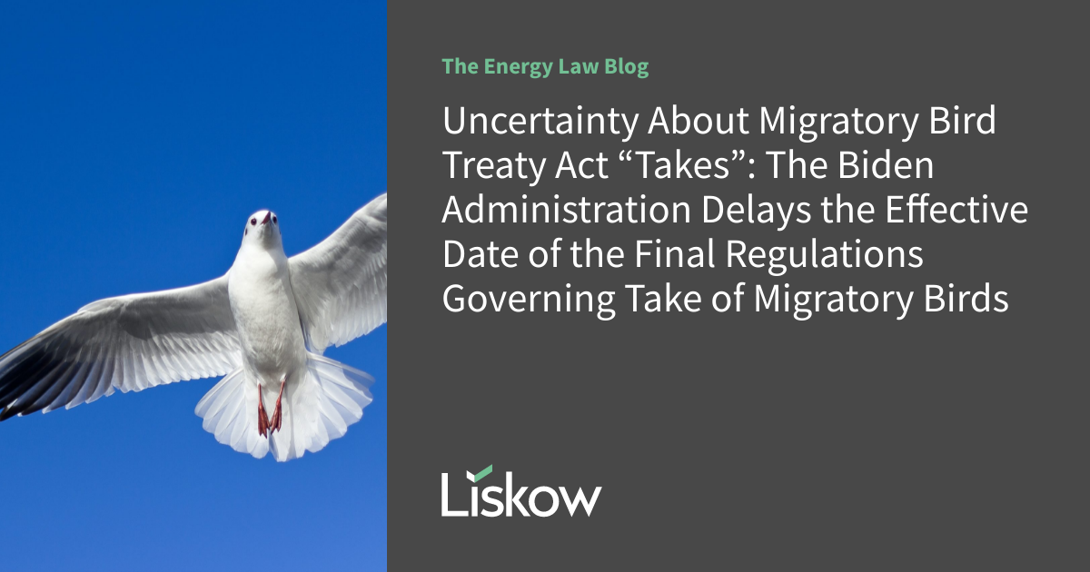 Uncertainty About Migratory Bird Treaty Act “Takes”: The Biden ...