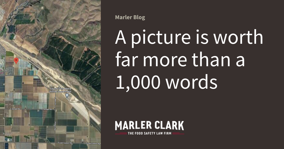 A picture is worth far more than a 1,000 words | Marler Blog