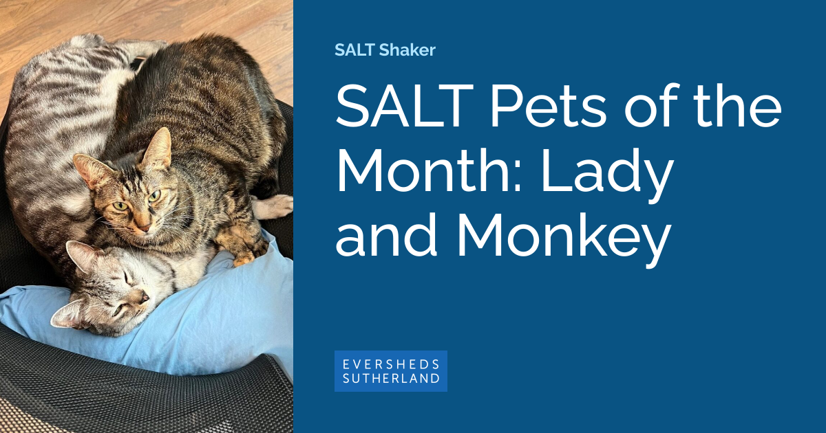 SALT Pets of the Month: Lady and Monkey | SALT Shaker