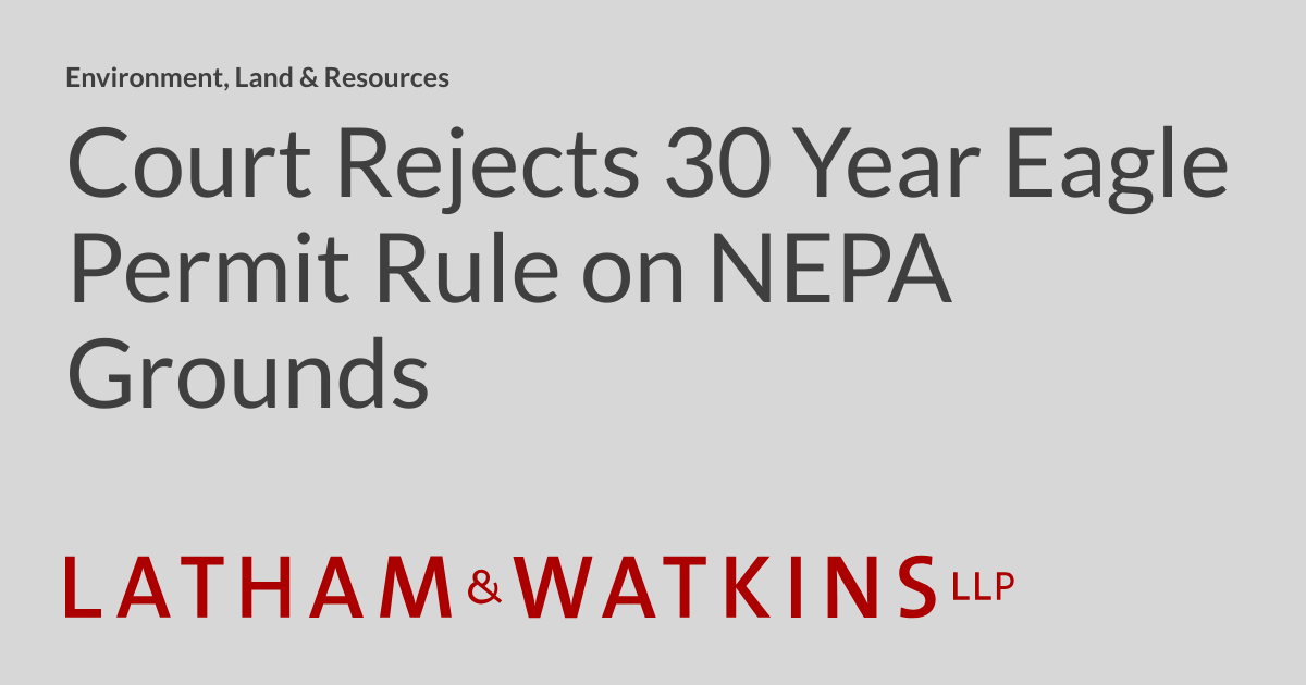 Court Rejects 30 Year Eagle Permit Rule on NEPA Grounds | Environment ...