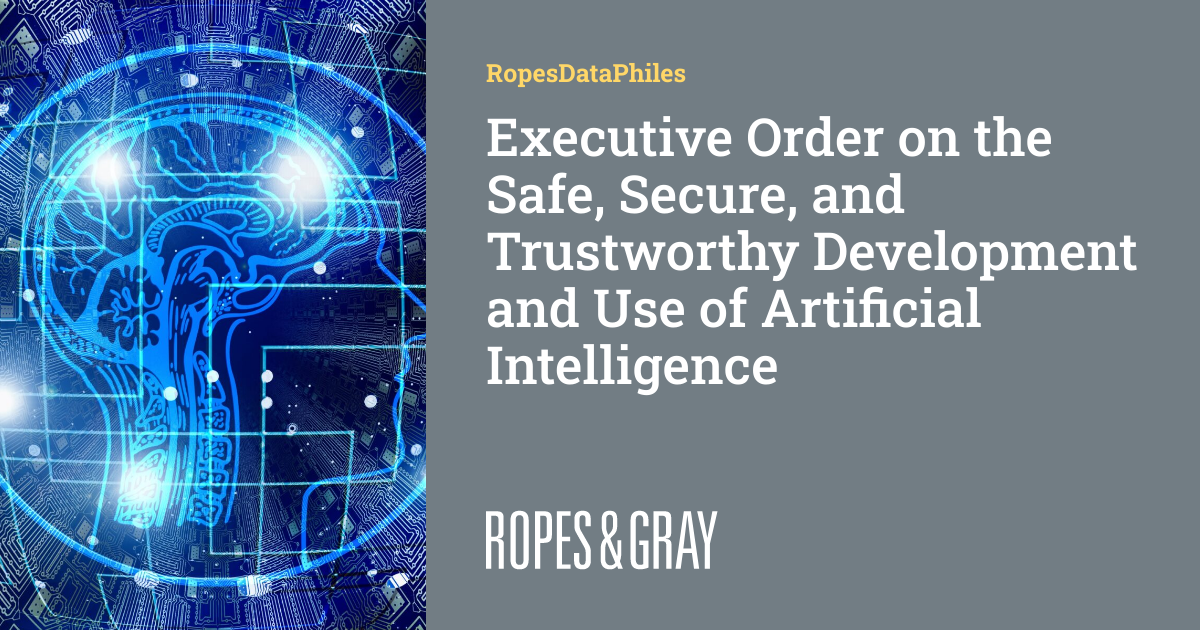 Executive Order on the Safe, Secure, and Trustworthy Development and ...