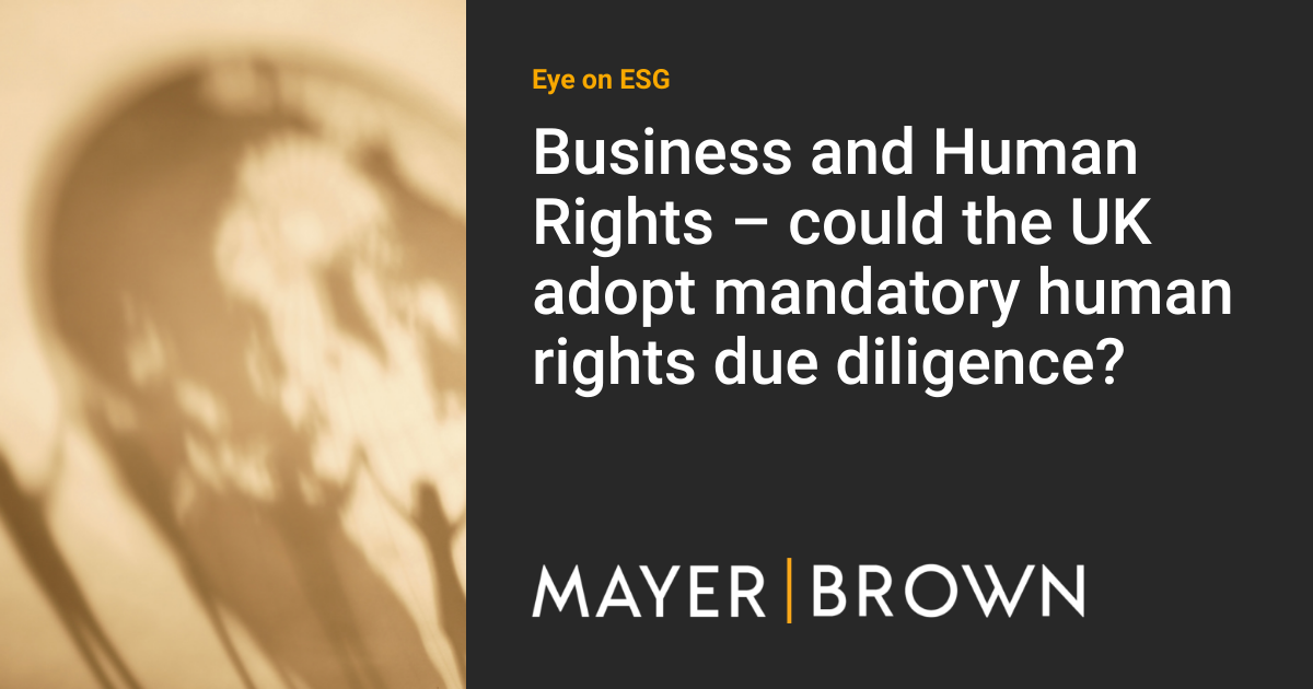 Business And Human Rights Could The Uk Adopt Mandatory Human Rights
