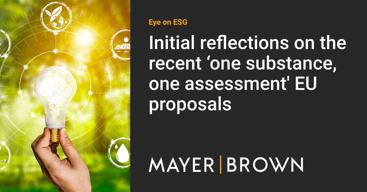 Initial reflections on the recent ‘one substance, one assessment' EU ...