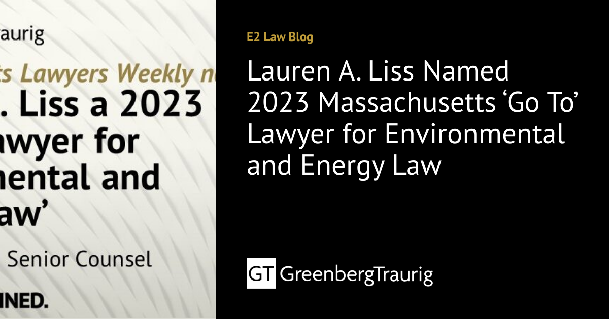 Lauren A. Liss Named 2023 Massachusetts ‘Go To’ Lawyer for ...