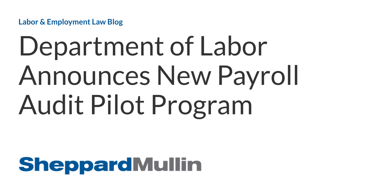Department of Labor Announces New Payroll Audit Pilot Program | Labor ...