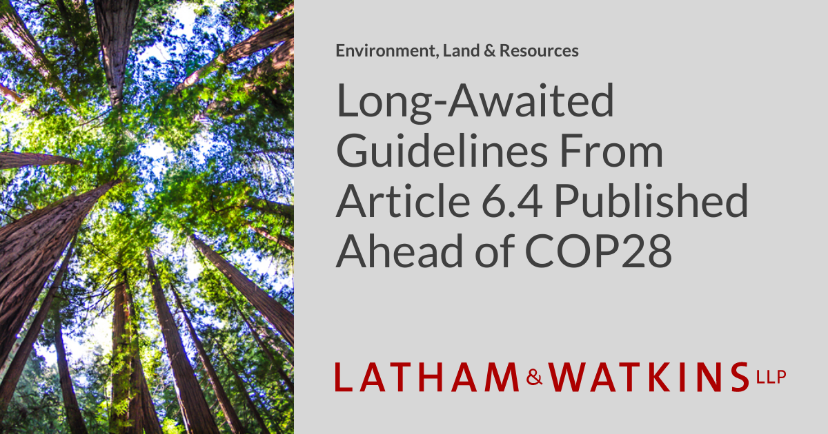 Long-Awaited Guidelines From Article 6.4 Published Ahead of COP28 | Environment, Land & Resources