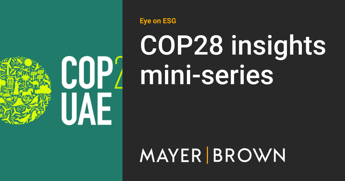 COP28 insights mini-series | Eye on ESG