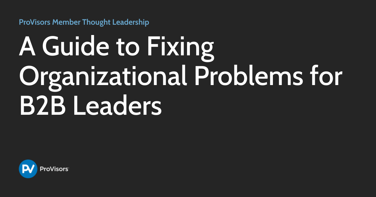 A Guide to Fixing Organizational Problems for B2B Leaders | ProVisors ...