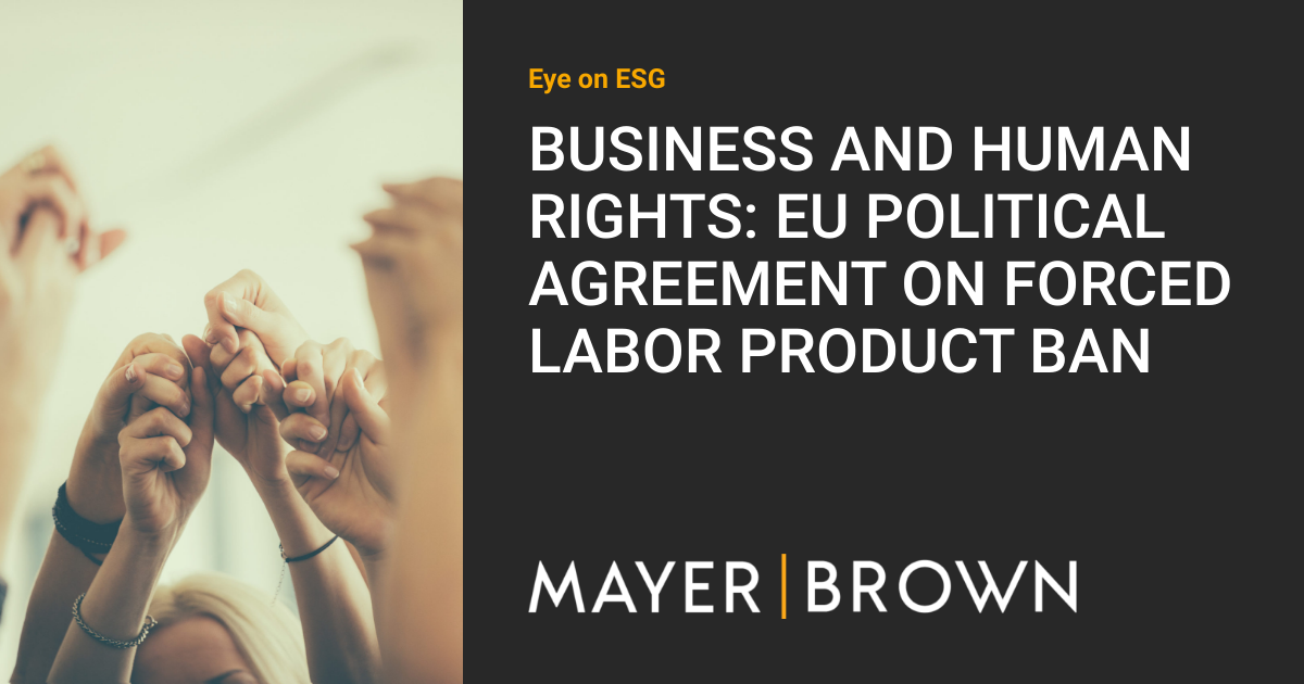 BUSINESS AND HUMAN RIGHTS: EU POLITICAL AGREEMENT ON FORCED LABOR ...