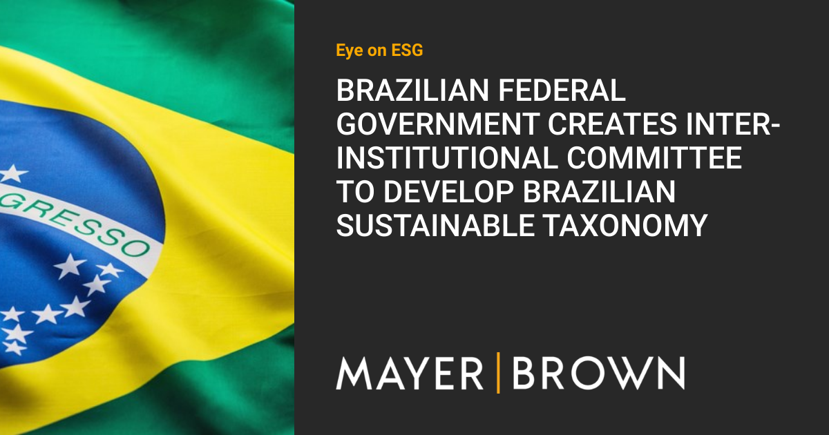 BRAZILIAN FEDERAL GOVERNMENT CREATES INTER-INSTITUTIONAL COMMITTEE TO ...
